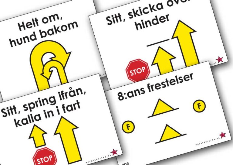 Rallylydnads­skyltar Samtliga Klasser 2023 - A4 Till Bra Pris